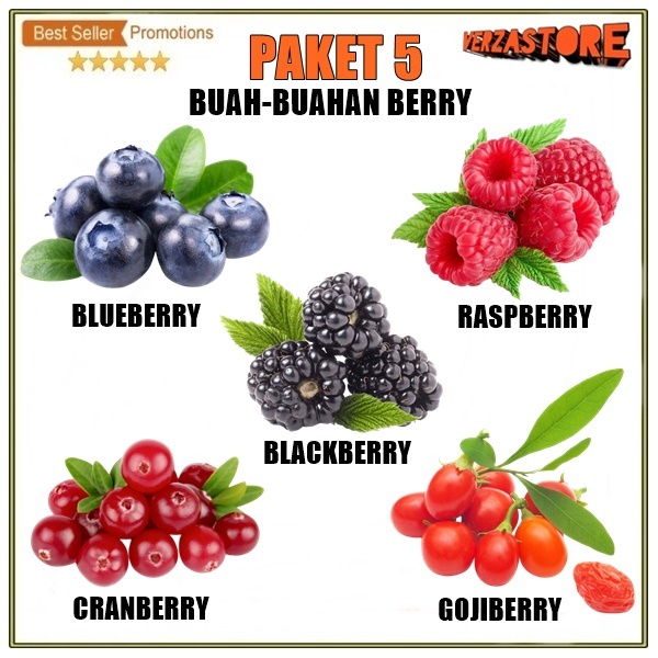 Jual Biji Benih Paket 5 Macam Buah-Buahan Gojiberry Blueberry Raspberry ...