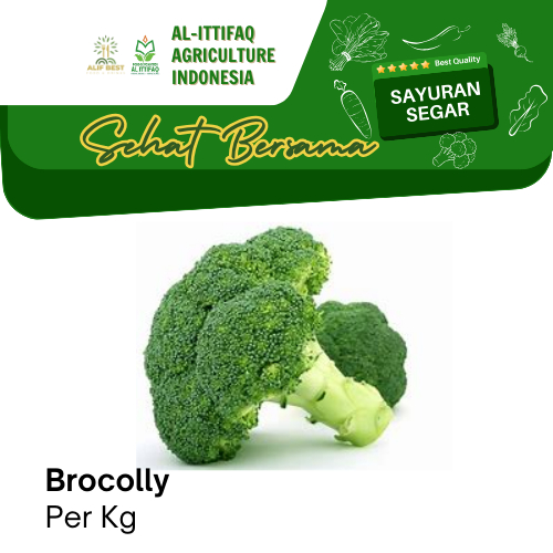 Jual BROKOLI SEGAR PER 1 KG | Shopee Indonesia