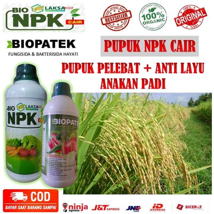 Jual paket 2 botol pupuk pelebat padi anti layu, kresek, busuk daun - Bio NPK Laksa Grow ...