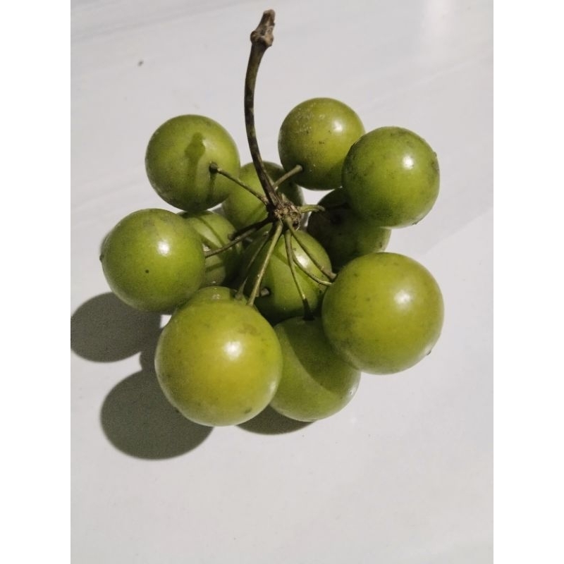 Jual Anggur 1 Kg Terlengkap & Harga Terbaru Mei 2026 | Shopee Indonesia