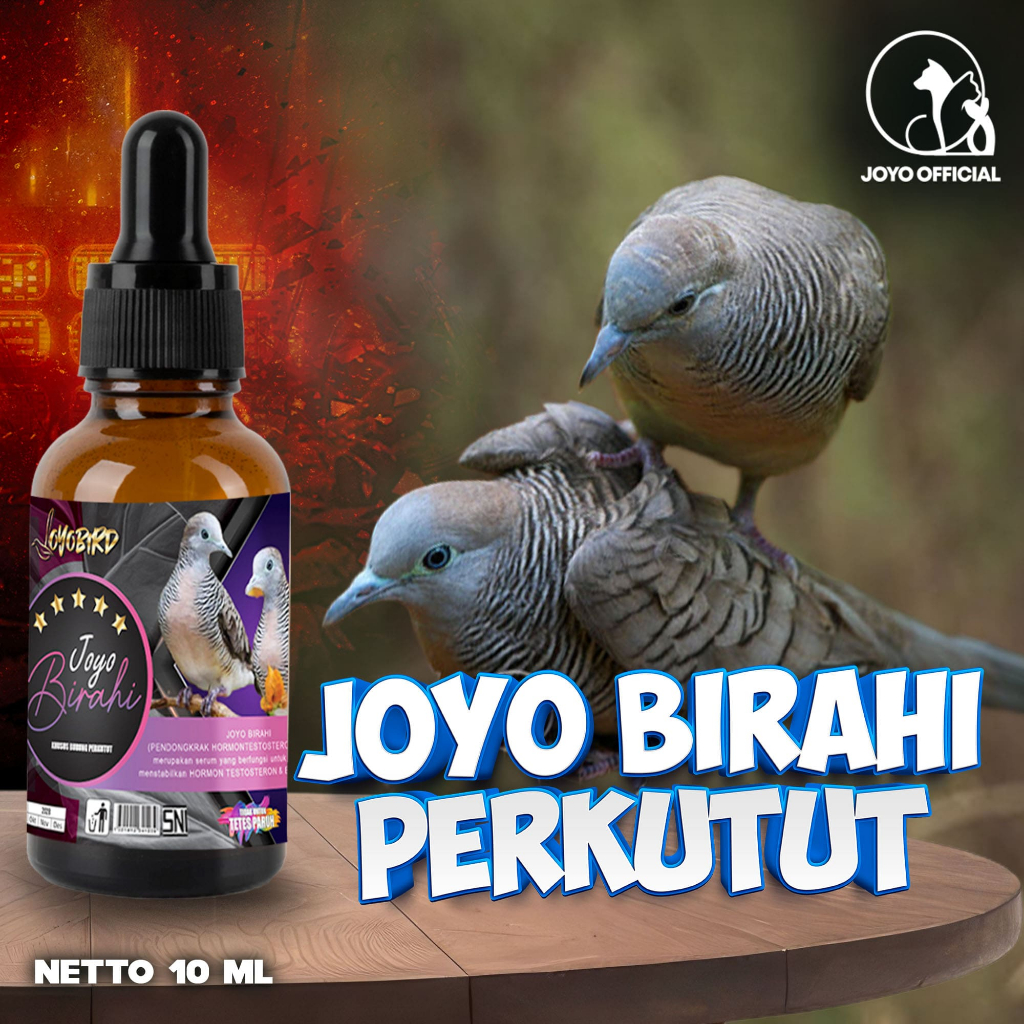 Jual OBAT BURUNG PENDONGKRAK BIRAHI PERKUTUT | VITAMIN BURUNG ...