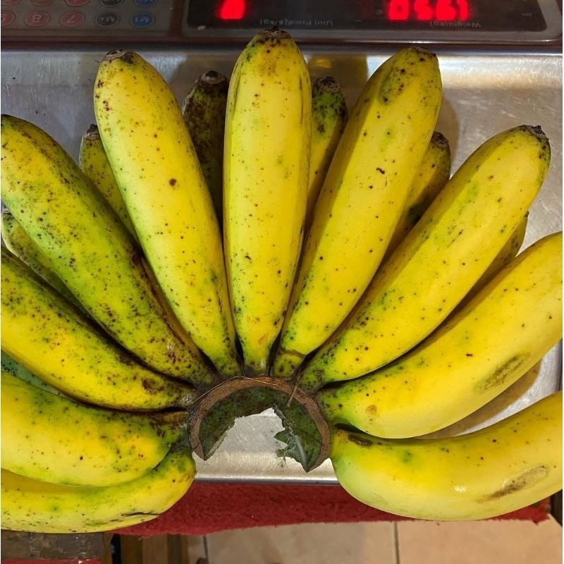 Jual Pisang Medan Barangan 1 Sisir IgnacioBox Fruit Local Product ...