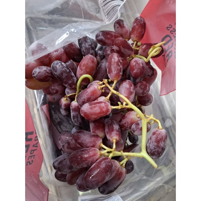 Jual Anggur Long Crimson Australia 1kg Malang Kota | Shopee Indonesia