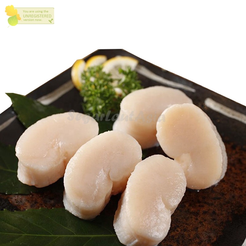 Jual Scallop Kapak Daging Kerang Kapak Kerang Kupas Seafood Kerang Laut ...