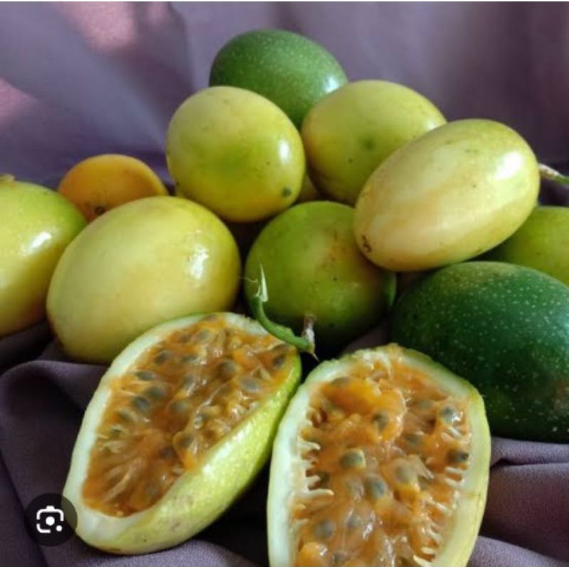 Jual promo buah markisa asam segar per 1 kg | Shopee Indonesia