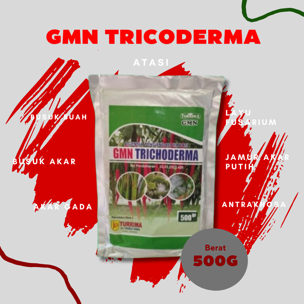 Jual BEST SELLER ! Trichoderma Cabai Isi 500Gram, Trichoderma Fungisida ...
