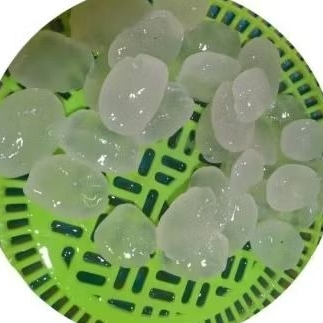 Jual buah atep ,kolang Kaling fresh 500 gram | Shopee Indonesia