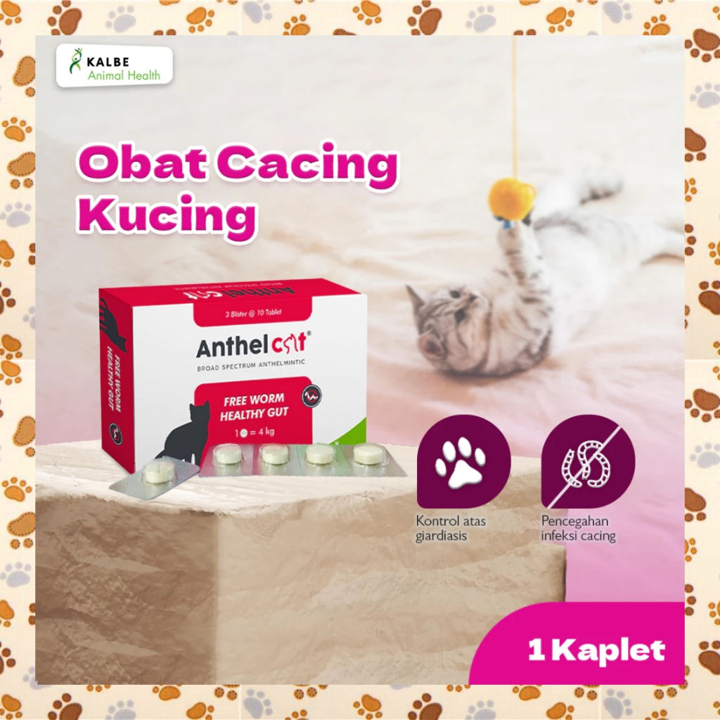 Jual C55AE4 Obat Cacing Kucing ANTHEL CAT Per 1 Tablet Kapsul Kaplet ...