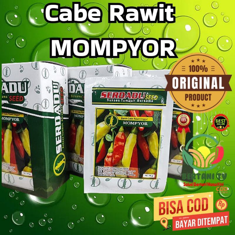 Jual Cabe Rawit MOMPYOR 10GR , Original100% benih cabe rawit unggul terbaik dengan peruasan ...