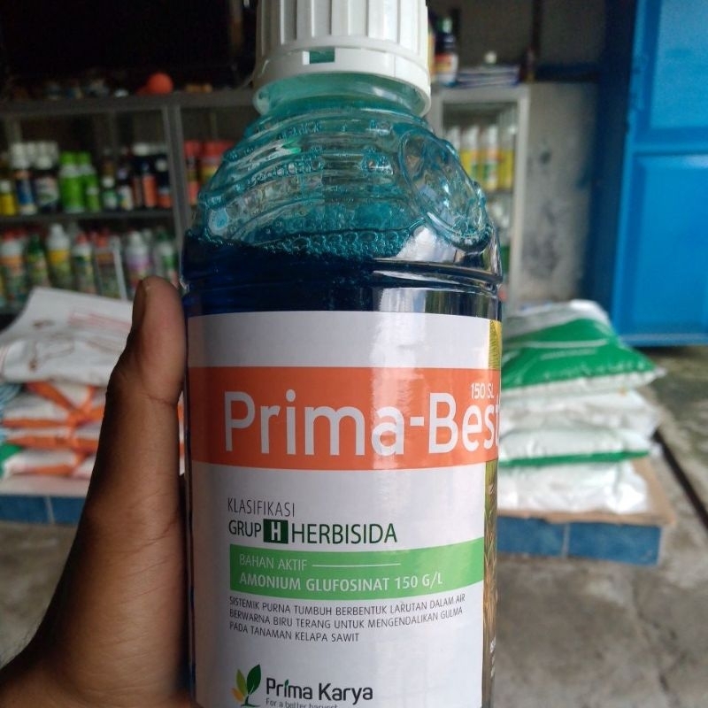 Jual Prima Best ( Khusus Rumput Lulangan dan yang Angkuh di Kelapa ...