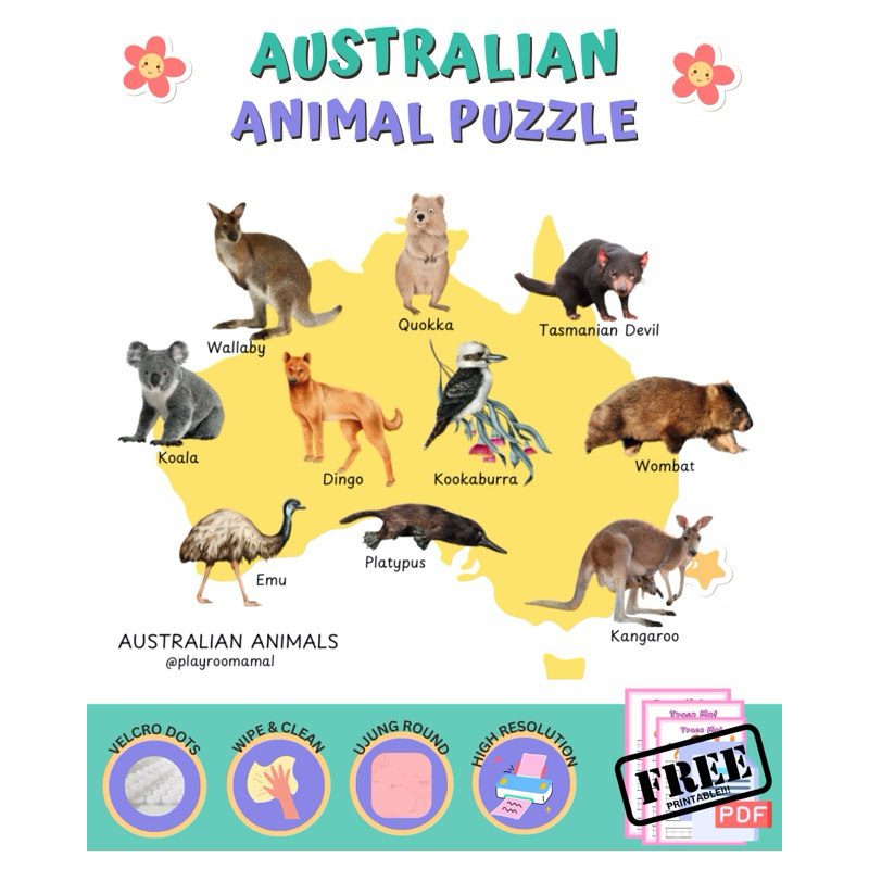 Jual Animal Classification Puzzle Edutoys Montessori Pengenalan Hewan ...