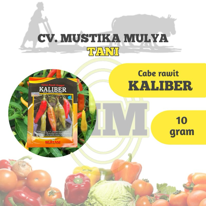 Jual BENIH CABE RAWIT ( KALIBER ) WIJITANI | Shopee Indonesia
