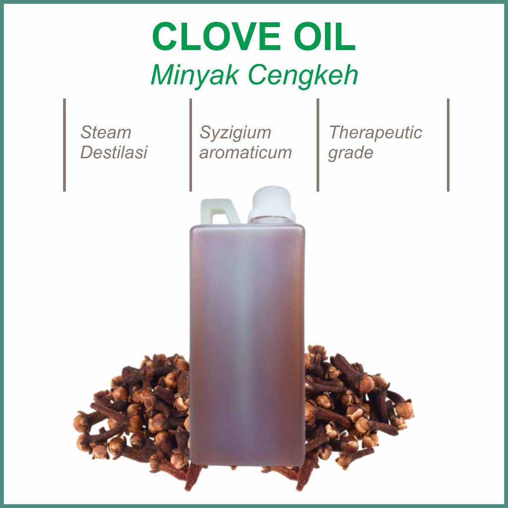 Jual 1Liter minyak CLOVE LEAF OIL/ MINYAK DAUN CENGKEH 500 ML & 1 LITER | Shopee Indonesia