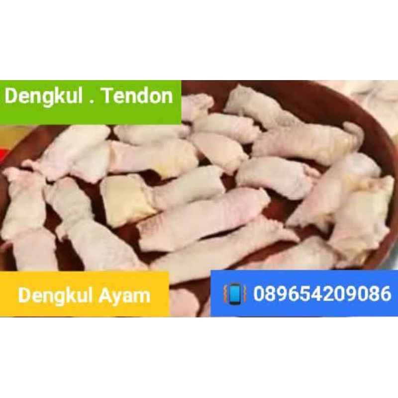 Jual Kulit Lutut (Dengkul,Tendon) | Shopee Indonesia