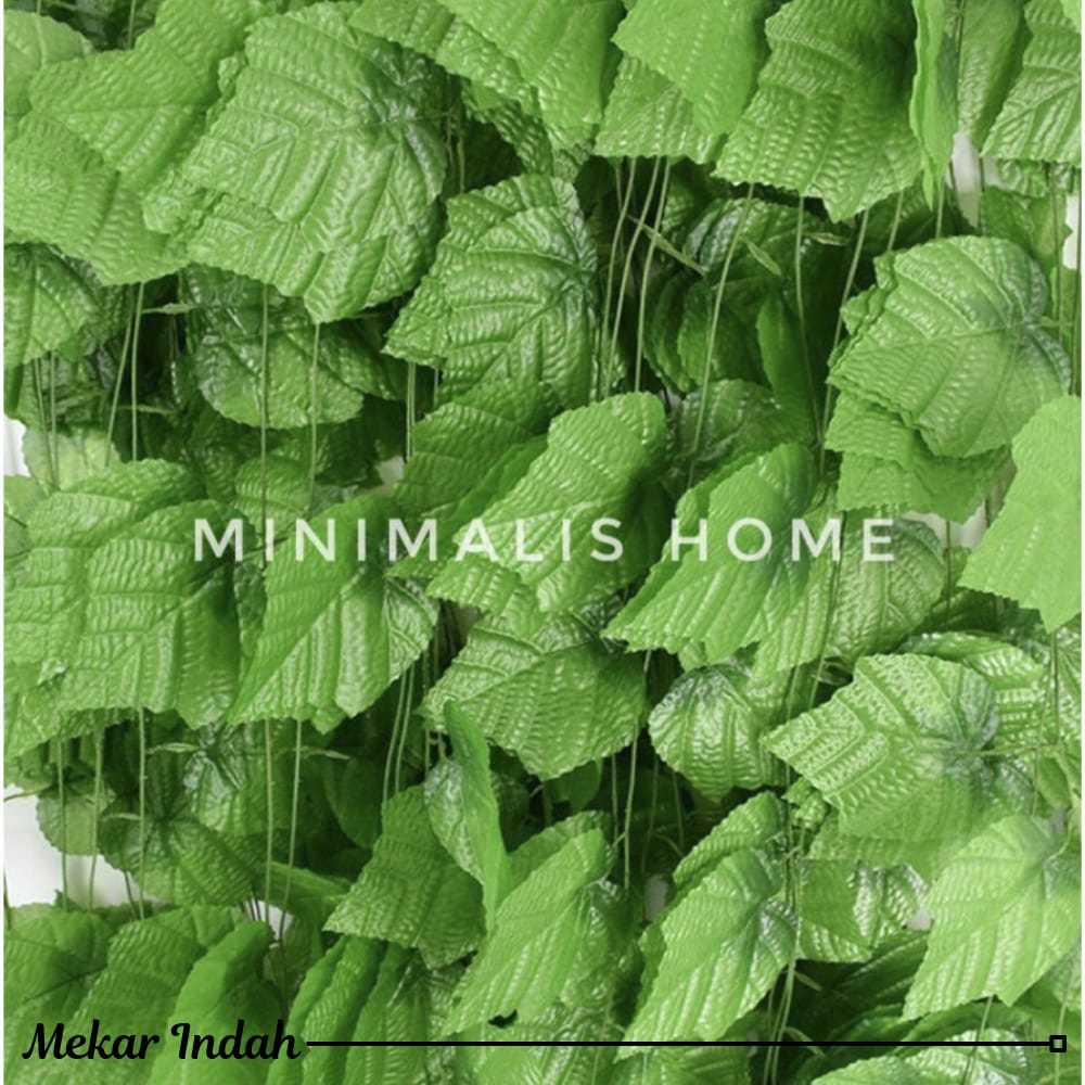 Jual Daun Rambat Besar Anggur Sulur 2m Warna Hijau Muda Plastik Juntai ...