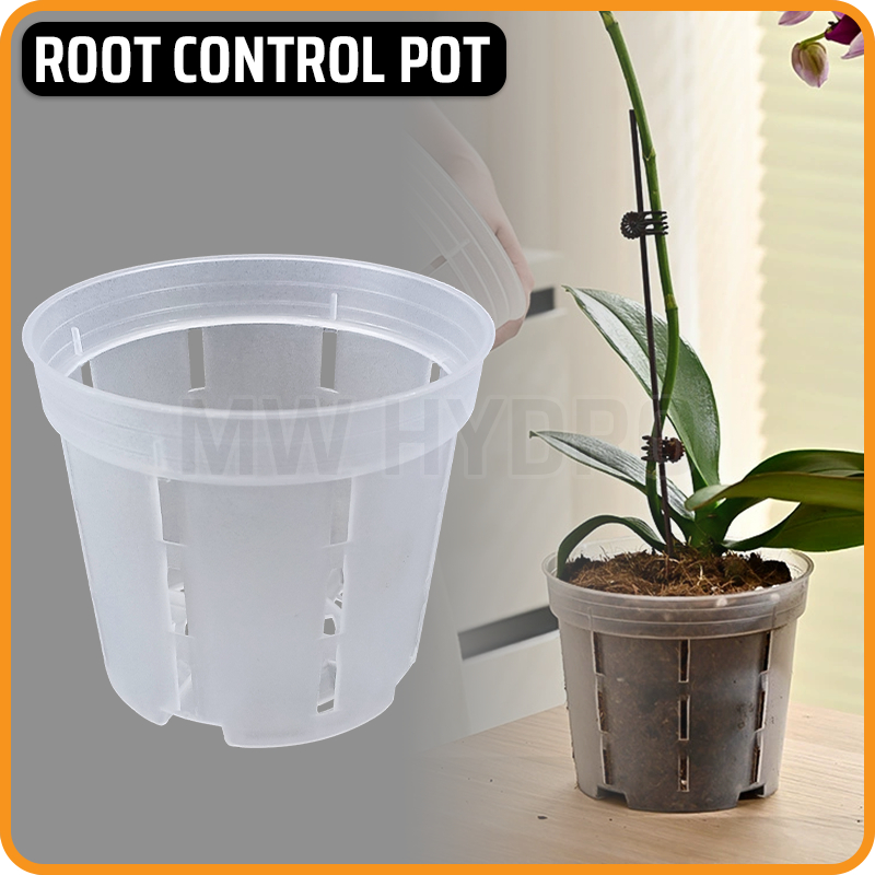 Jual Thick Transparent Root Control Pot for Orchid | Pot Anggrek ...