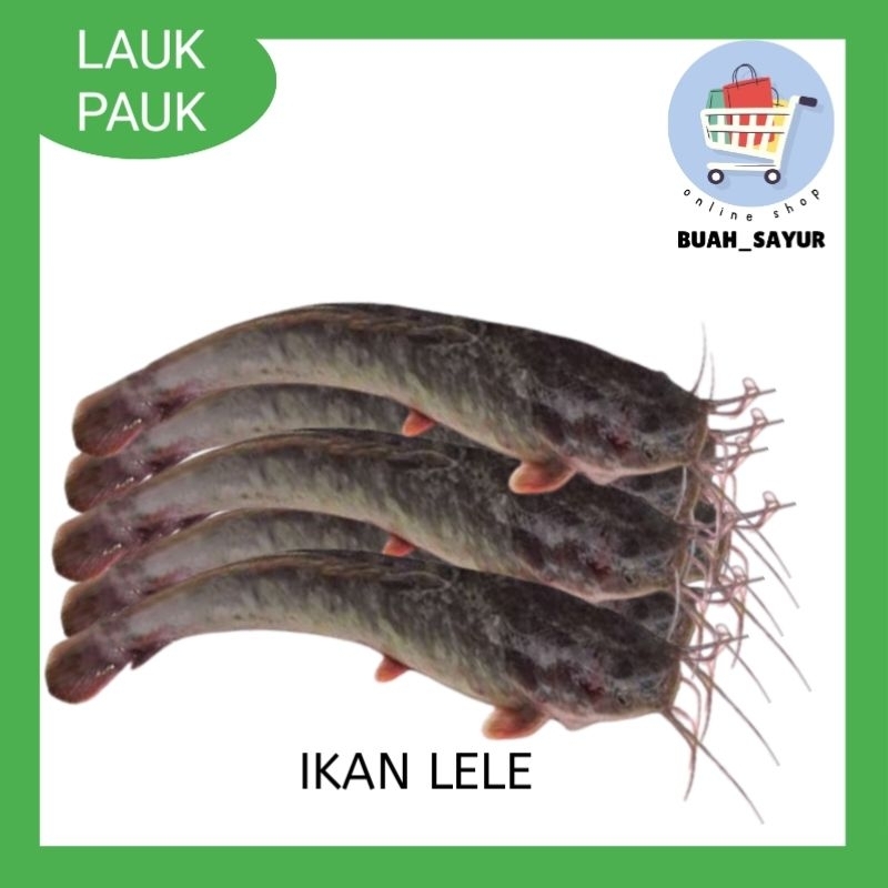 Jual Lauk lele/ ikan lele segar fresh 250/500/1kg | Shopee Indonesia