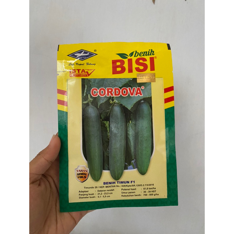 Jual CORDOVA-BENIH TIMUN F1- 20GR | Shopee Indonesia