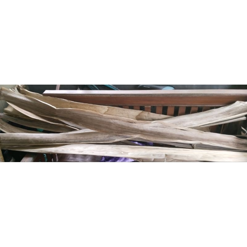 Jual gedebong/gedebog/pelepah pisang kering ukuran 50cm 2000/pcs ...