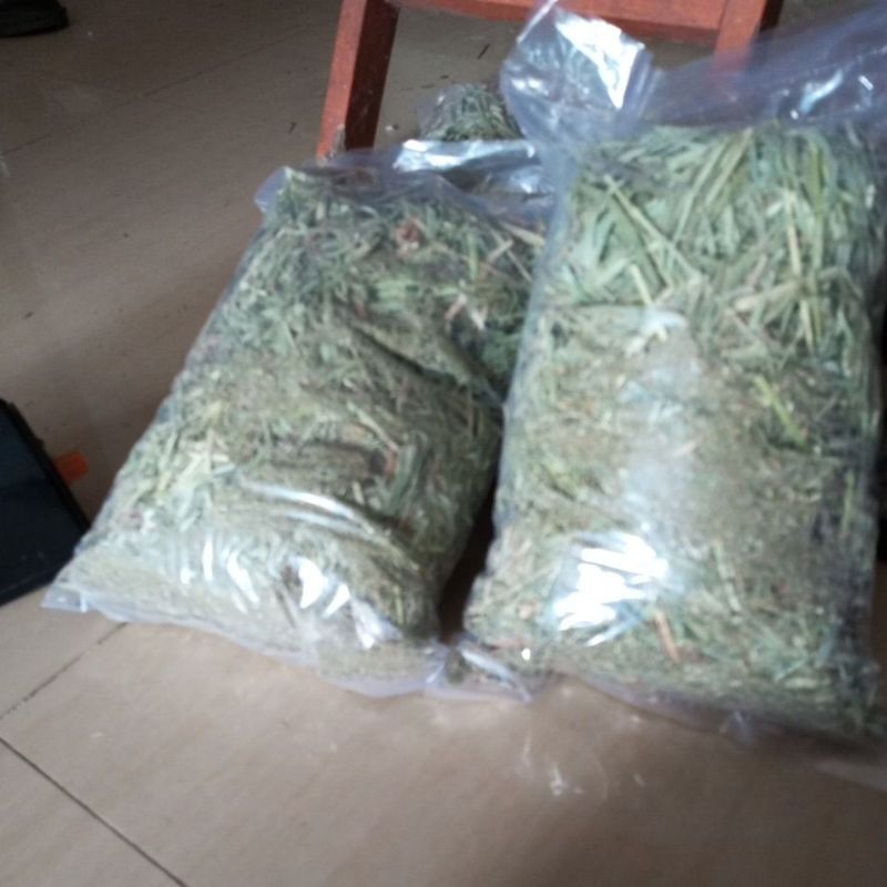 Jual Rumput Hay timothy 2nd cut 250gr | Shopee Indonesia