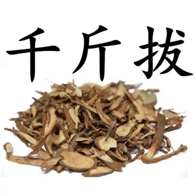 Jual 100gr herbal qian jin ba premium grade flemingia philippinensis ...