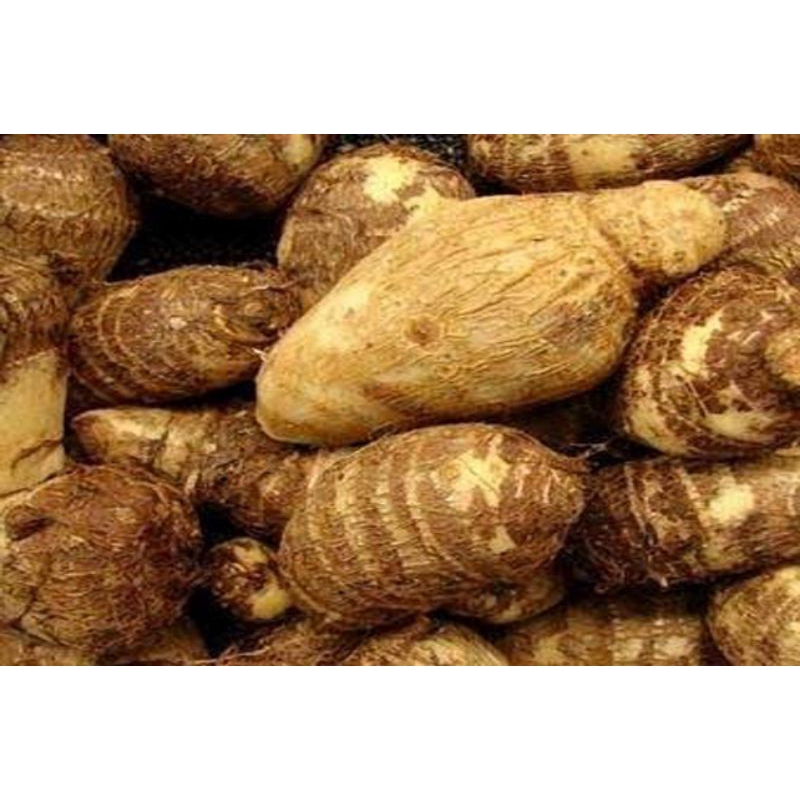 Jual Fresh Umbi Enthek / Mbote / Talas 1kg | Shopee Indonesia