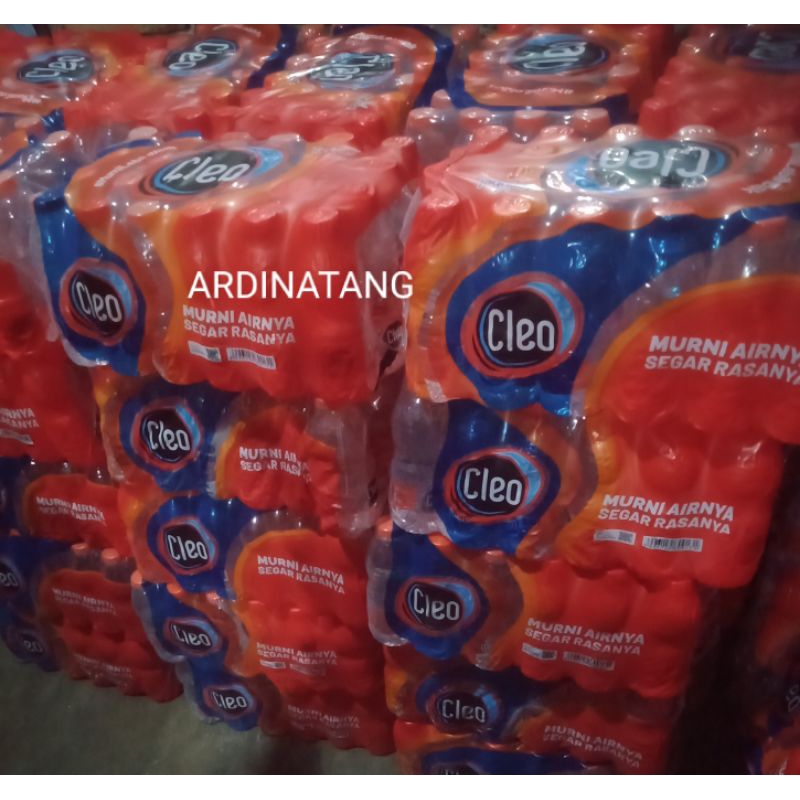 Jual Cleo Botol Mini Smart 220ml Air Mineral 24pcs/pack | Shopee Indonesia