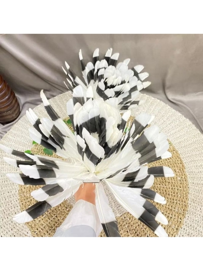 Jual BULU TARI DAYAK - KIRIP TARI DAYAK | Shopee Indonesia