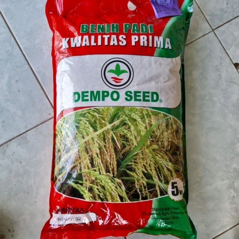 Jual Benih Padi Kualitas Prima Dempo Seed Inpari 32 Kemasan 5kg exp 08/25 | Shopee Indonesia