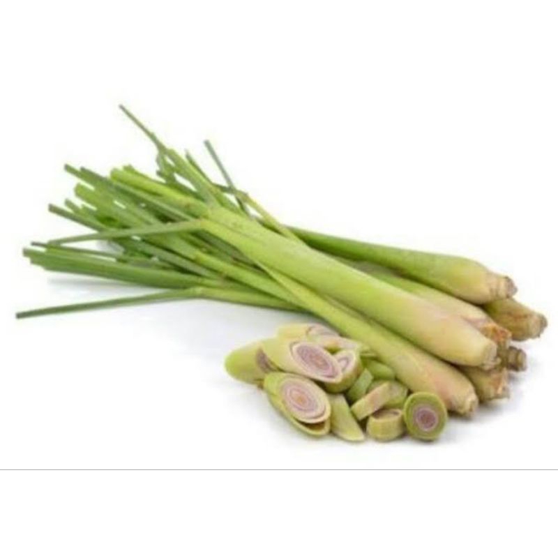 Jual serai wangi dan bersih 250gram | Shopee Indonesia