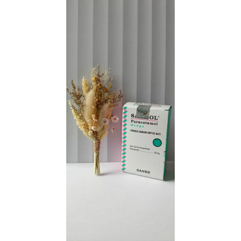 Jual Sanmol drop drops Paracetamol ( Sanmol Syrup ) 15 ml | Shopee ...