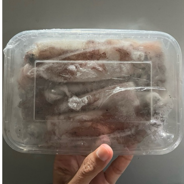 Jual cumi frozen | Shopee Indonesia