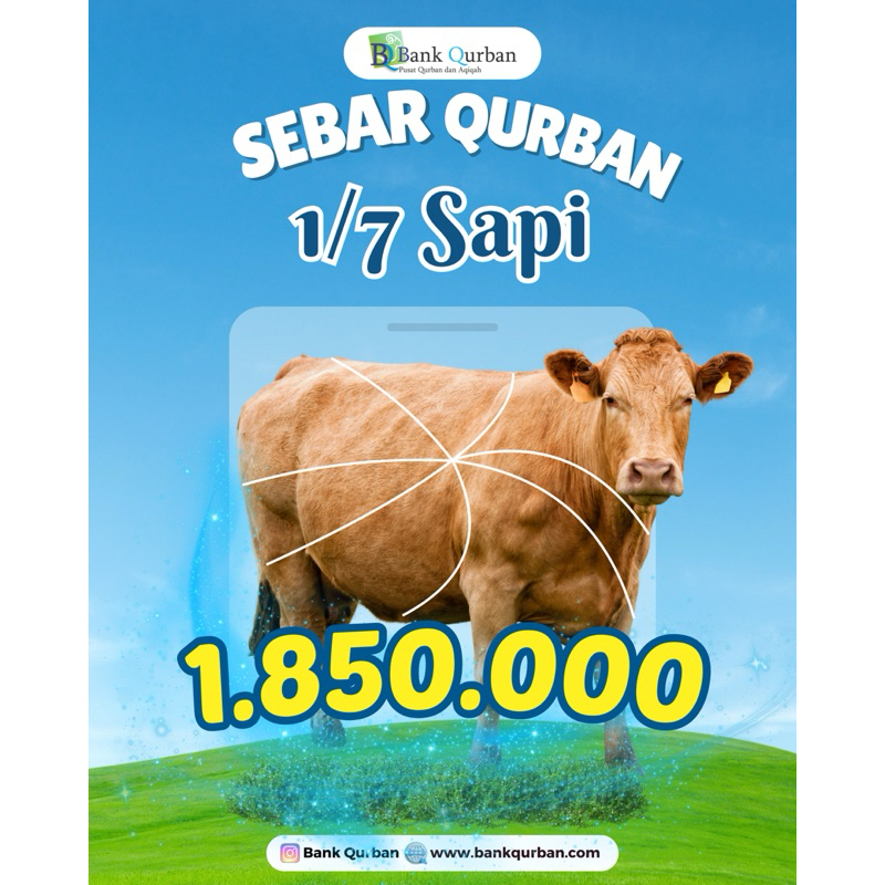 Jual Sebar Qurban 1/7 Sapi 2025 | Shopee Indonesia