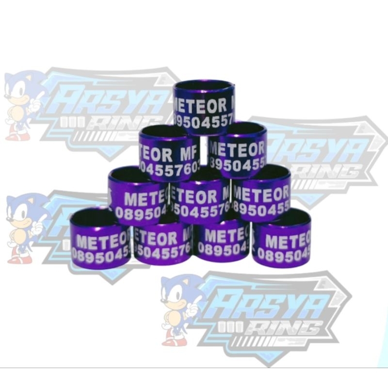 Jual RING GELANG MERPATI CETAK NAMA MODEL LASER ISI 25 BIJI | Shopee ...