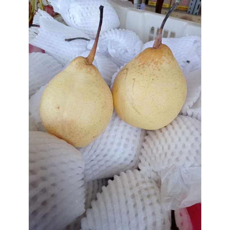 Jual buah pear 1kg | Shopee Indonesia