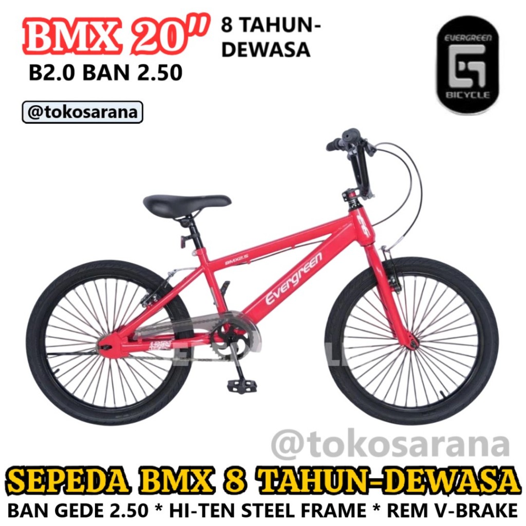 Jual Sepeda BMX Evergreen B25 B20 Remaja-Dewasa Ban 20 Inci x 2.125 Hi-Ten Steel Oversize ...
