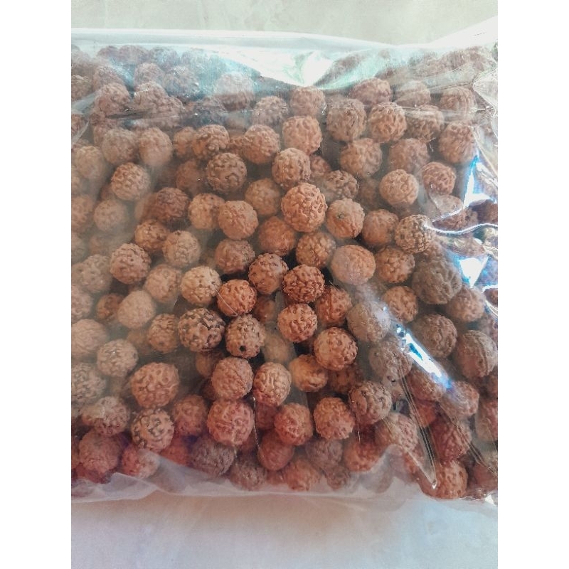 Jual Jenitri 1kiloan belum berlobang ukuran dim 13mm up | Shopee Indonesia