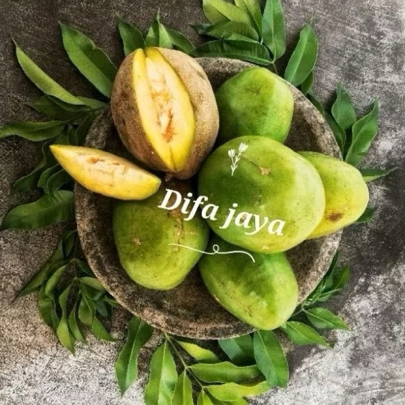 Jual Buah kedondong 1 kg di petik jika ada pesanan masuk | Shopee Indonesia