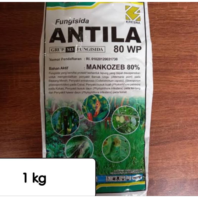 Jual Antila 1 kg | Shopee Indonesia