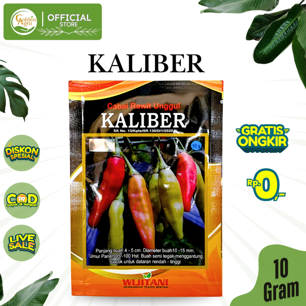 Jual BENIH BIBIT CABAI CABE KALIBER 10GR GR GRAM | Shopee Indonesia