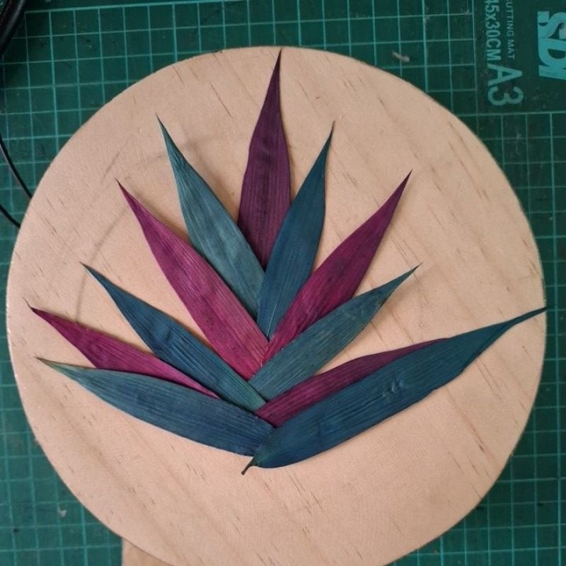 Jual Lanara Daun Bambu Kering Hiasan Craft Dekorasi Kolase Prakarya ...