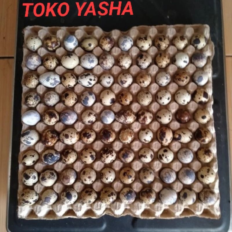 Jual Telur Puyuh 1 Piring (isi 90 Butir) | Shopee Indonesia