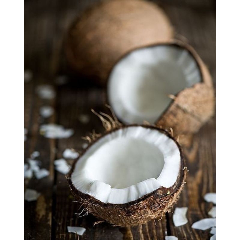 Jual Kelapa Tua 1 Butir Utuh Ukuran Sedang Dan Besar Belum Kupas ...