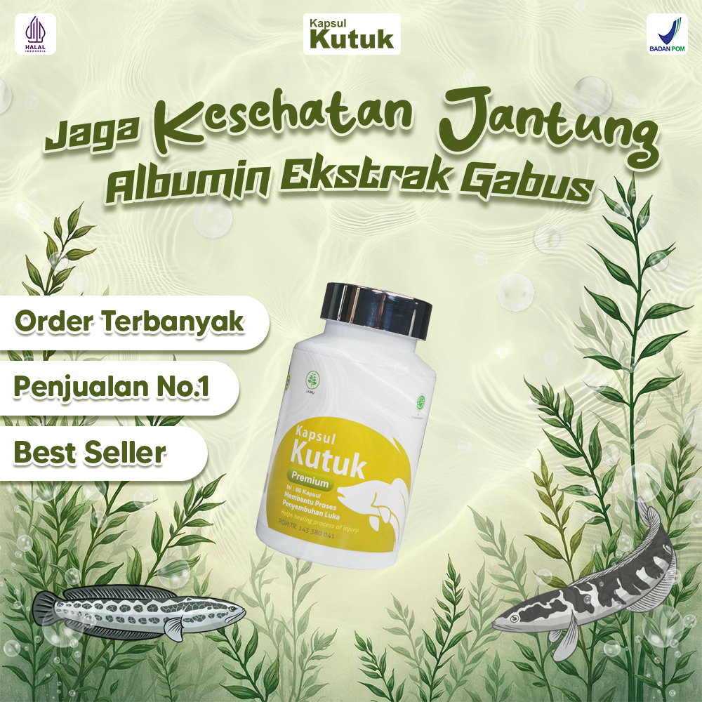 Jual Kapsul Kutuk Premium - Obat Jantung Albumin Omega 3 Cegah Resiko ...