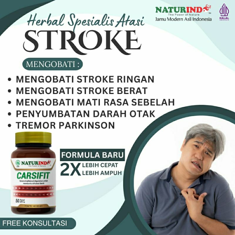 Jual OBAT STROKE STRUK OBAT STROK RINGAN BERAT HERBAL OBAT LUMPUH MATI ...