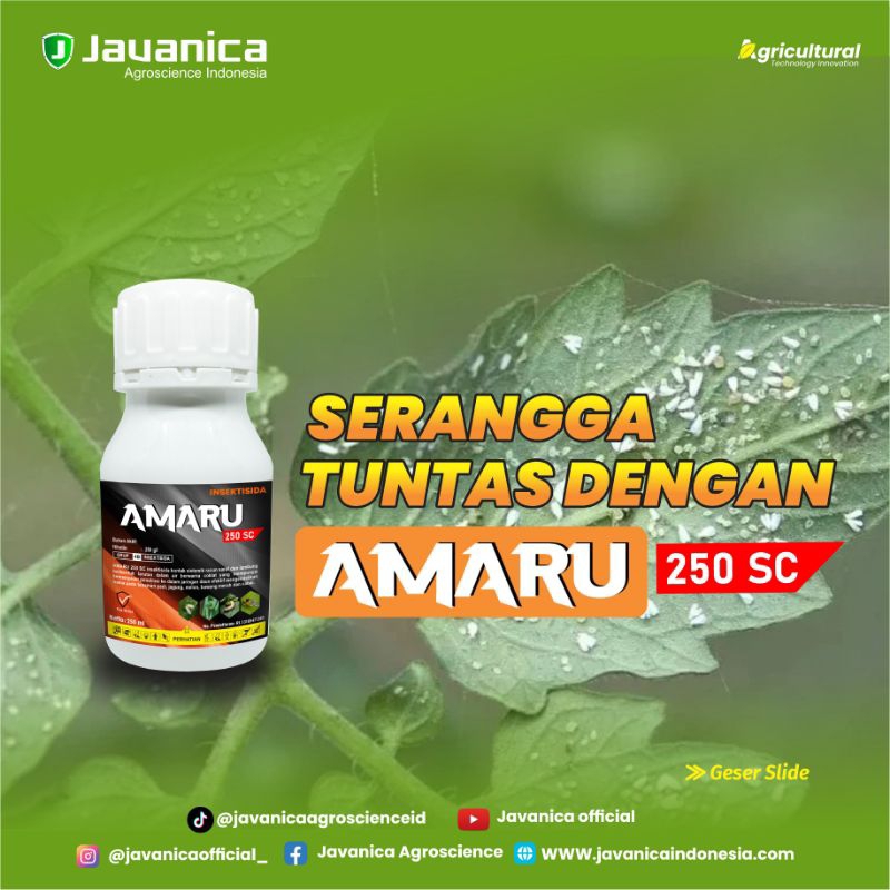 Jual JAVANICA / AMARU 250 SC ( 250ml ) | Shopee Indonesia