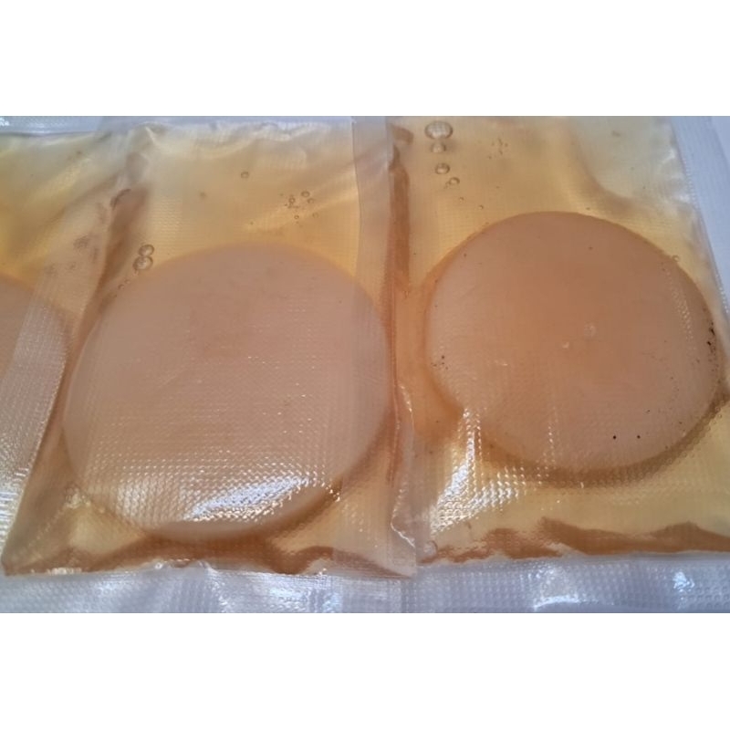 Jual Bibit Jamur Kombucha Premium / jamur DIPO (Bibit kombucha) starter ...