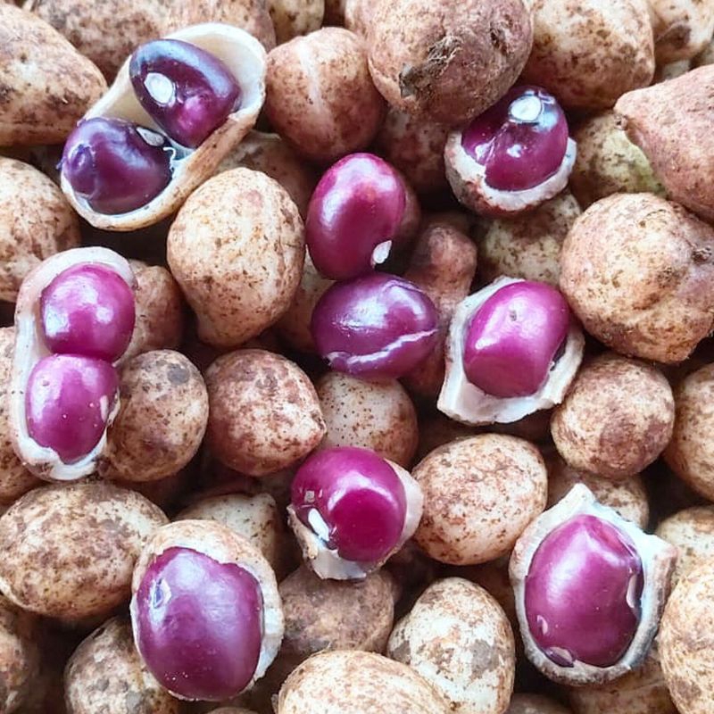 Jual Kacang Polong Asli Bogor 1 KG | Shopee Indonesia
