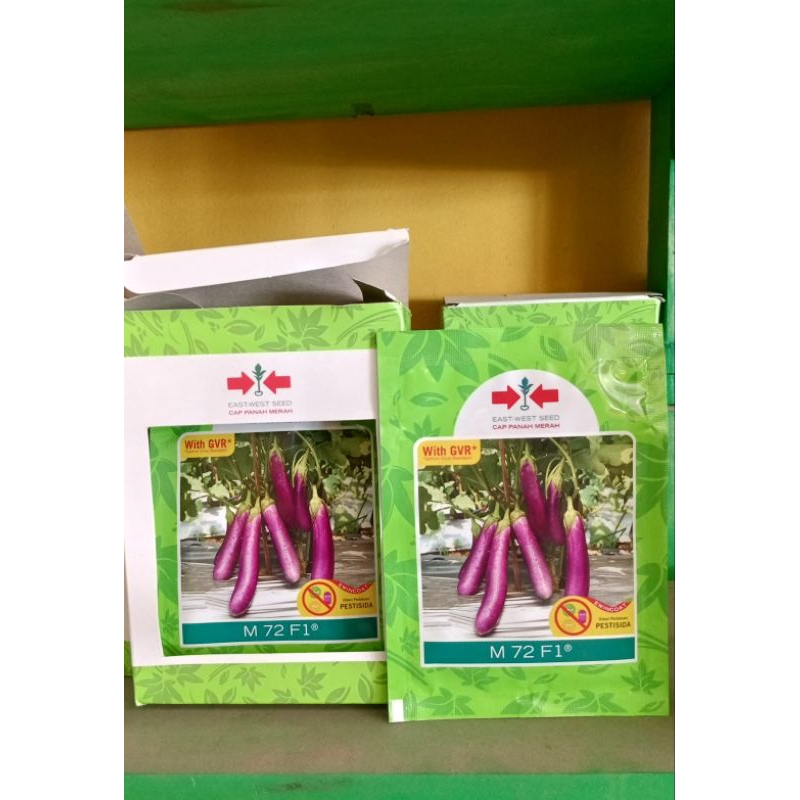 Jual Benih Terong M 72 F1 - isi 1100 butir | Shopee Indonesia