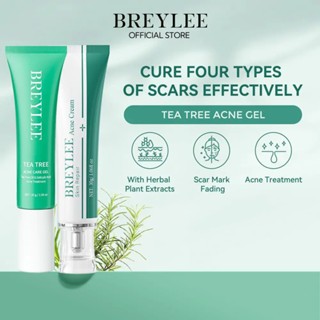 Jual 【BPOM】BREYLEE Acne Scar Removal - BREYLEE Penghilang Noda Bekas Jerawat, Luka & Stretch ...